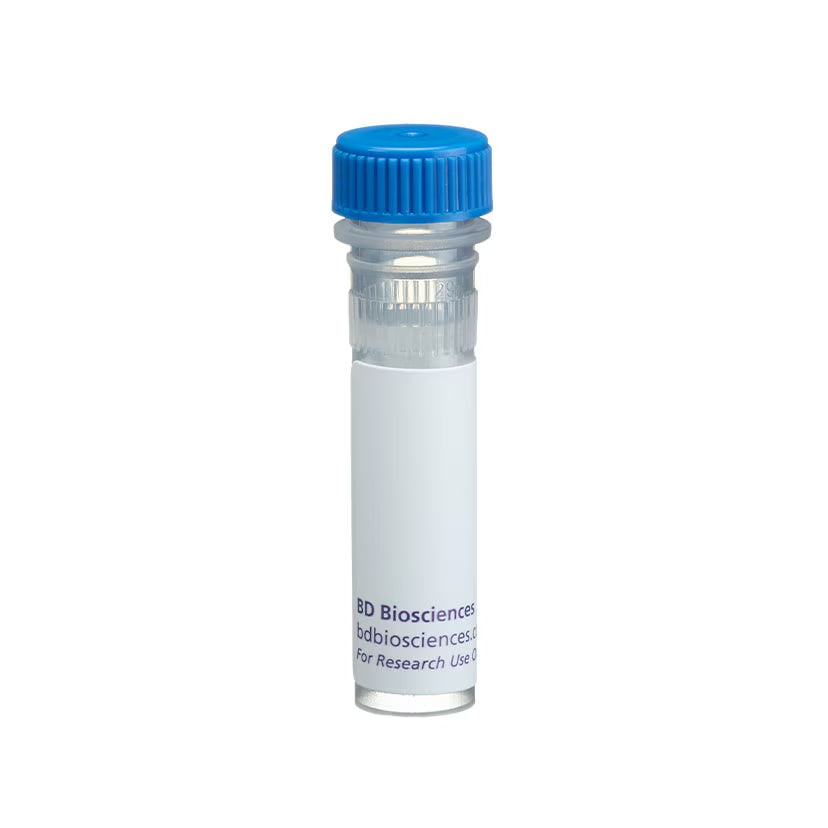 BD Western Blot & Molecular Tools: Membranes, Blocking, ECL Substrates ...